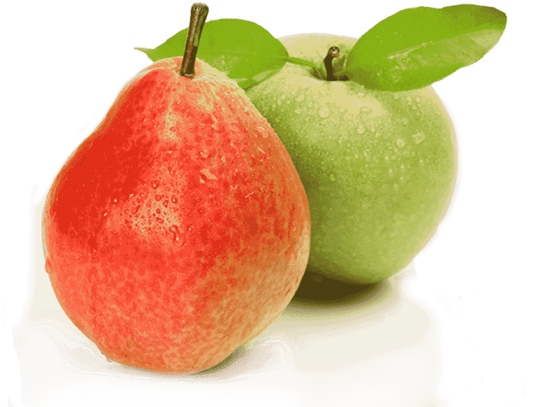 Calibrex, fabrication de calibreuses françaises pour petits et moyens ...