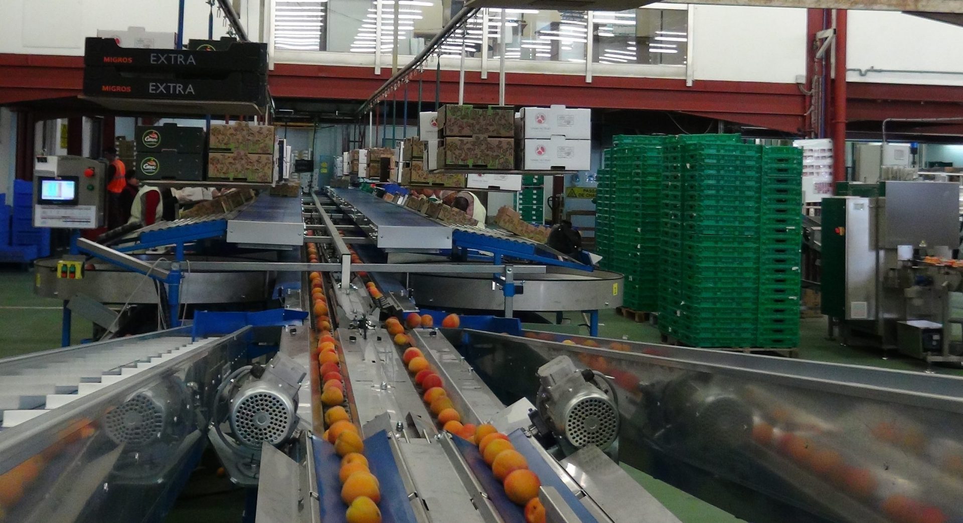 Calibrex, fabrication de calibreuses françaises pour petits et moyens ...